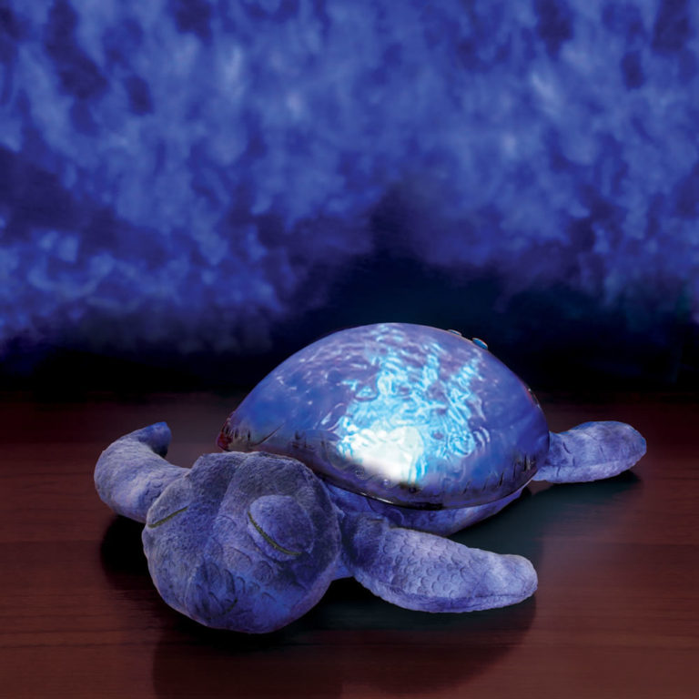 Tranquil Turtle - The Truthful Tutors